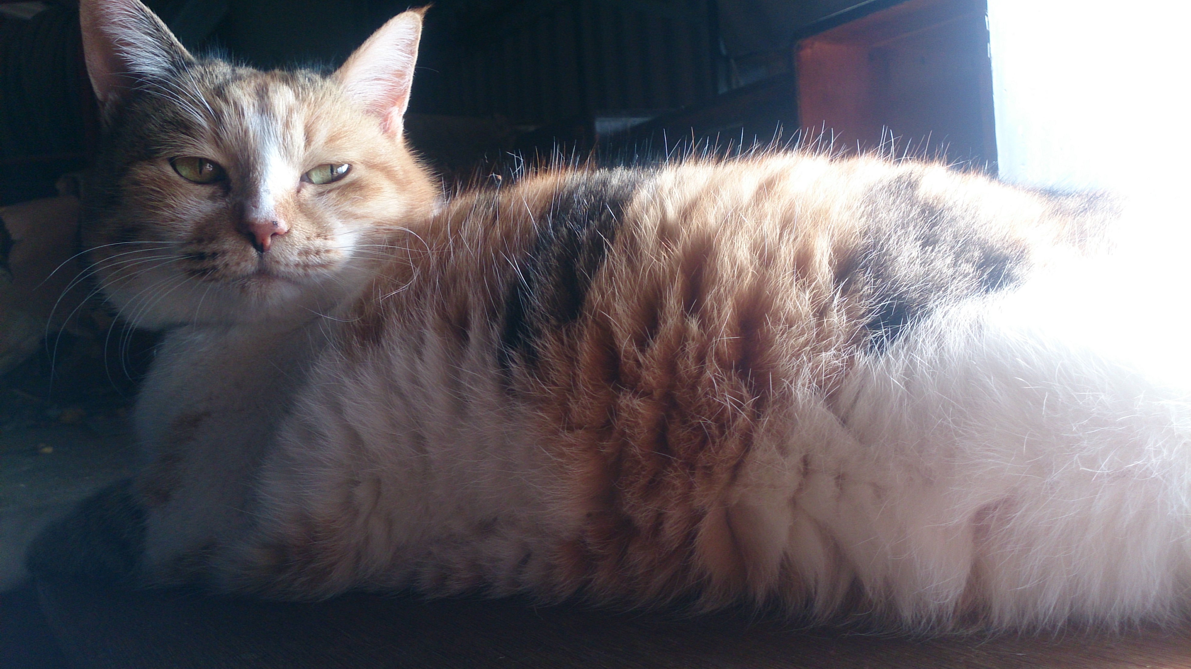 dsc_0137 – 汚染土壌・産業廃棄物処理 東立テクノクラシー